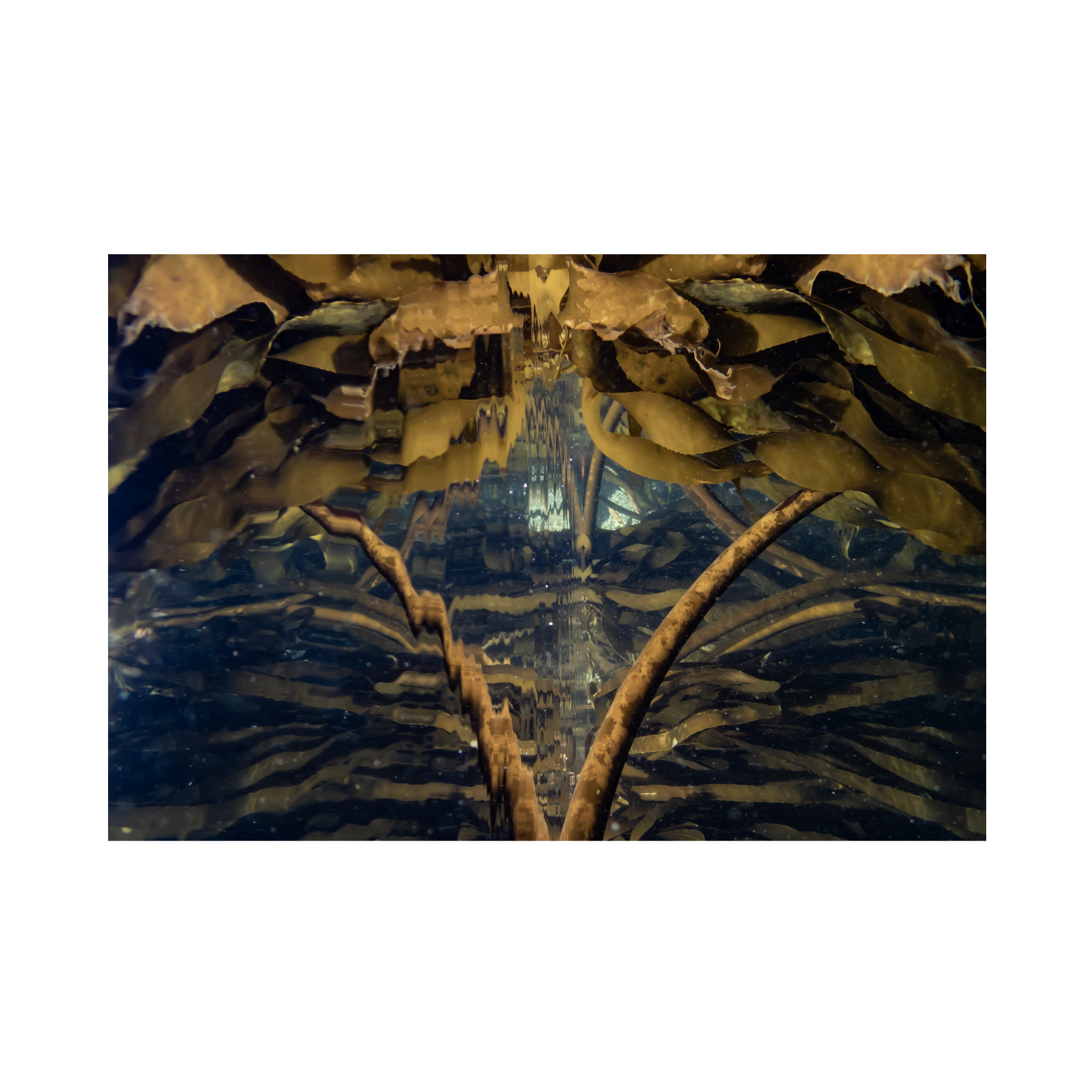 Craig Foster – Cloudigitalart